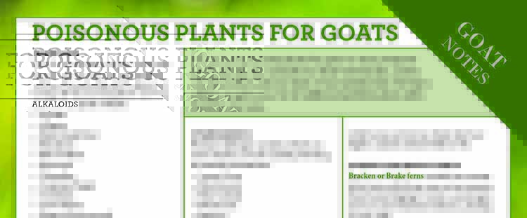 Poisonous Plants for Goats - Goat Journal